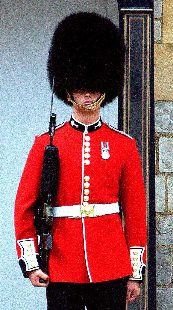 Spot the difference: the Household Divisions' uniforms • The Crown ...