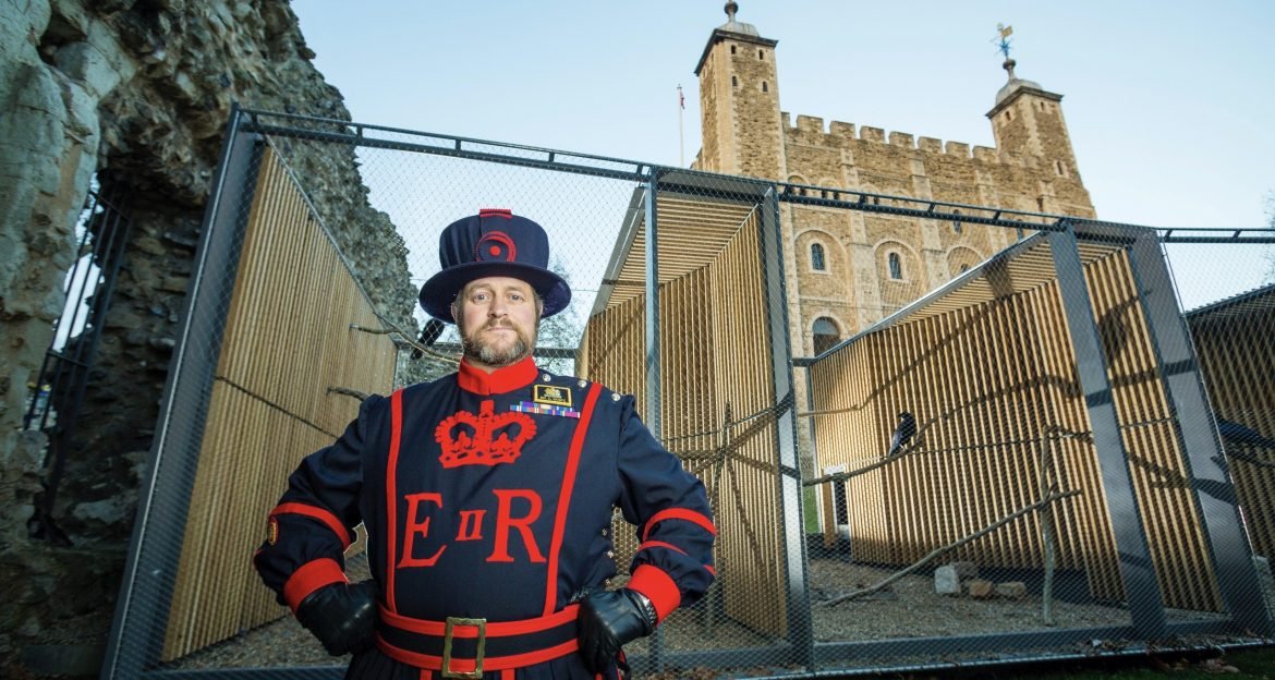 The Tower of London's 'Queen' raven is missing and presumed dead • The ...