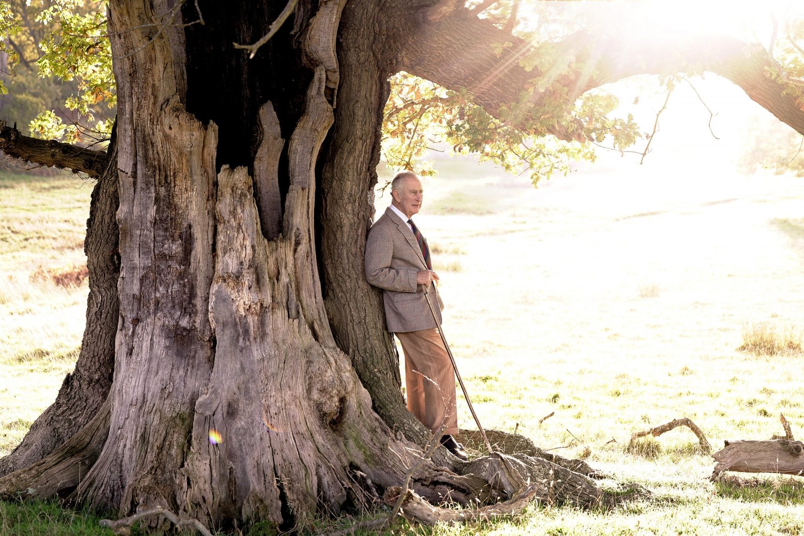 King Charles to feature in new documentary about his philosophy of ...