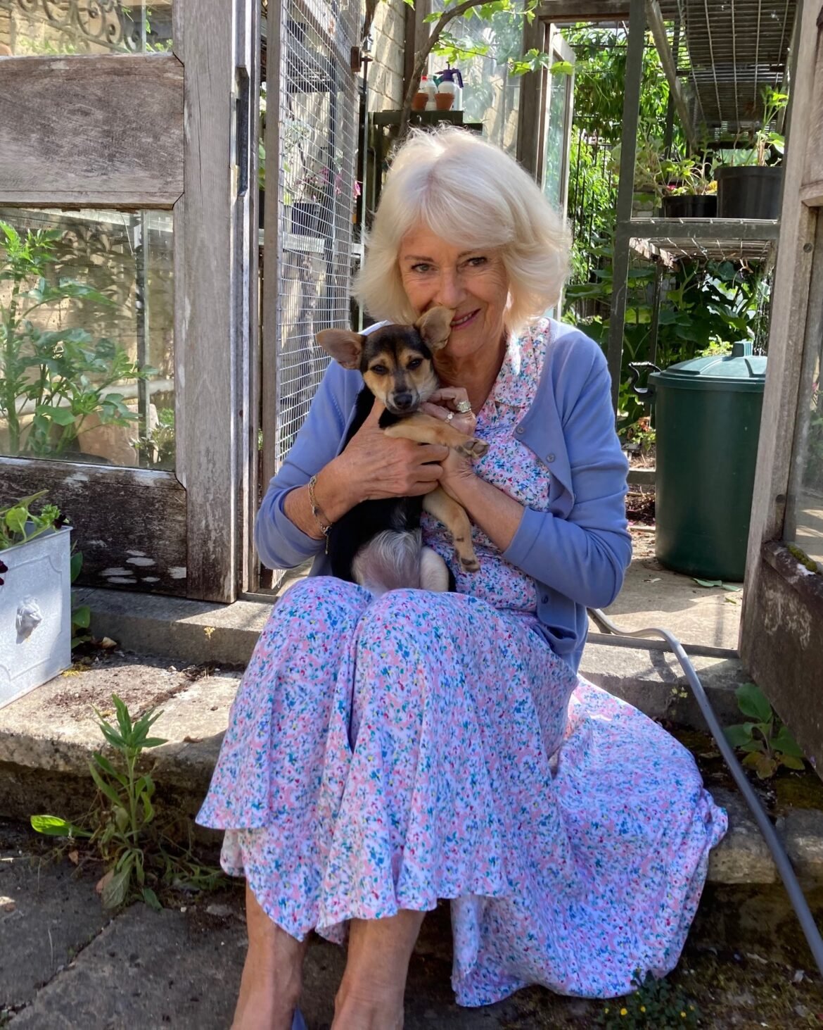Meet Moley - Queen Camilla's new dog • The Crown Chronicles