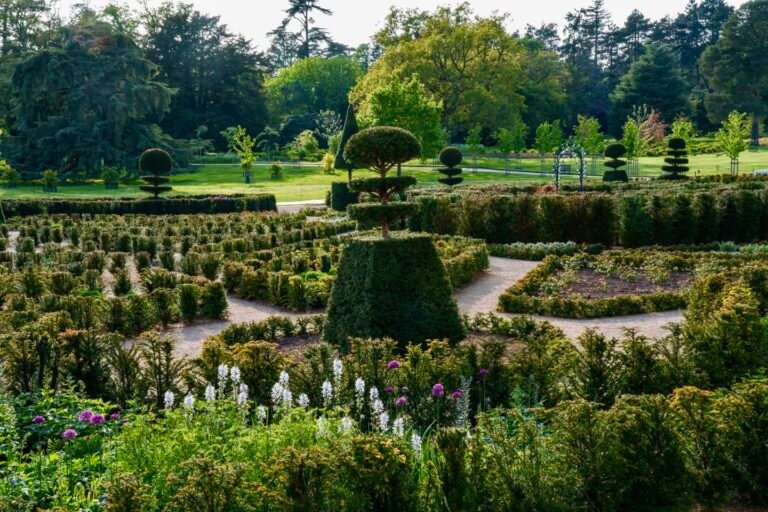 King Charles marks updates to Sandringham gardens with photos • The ...